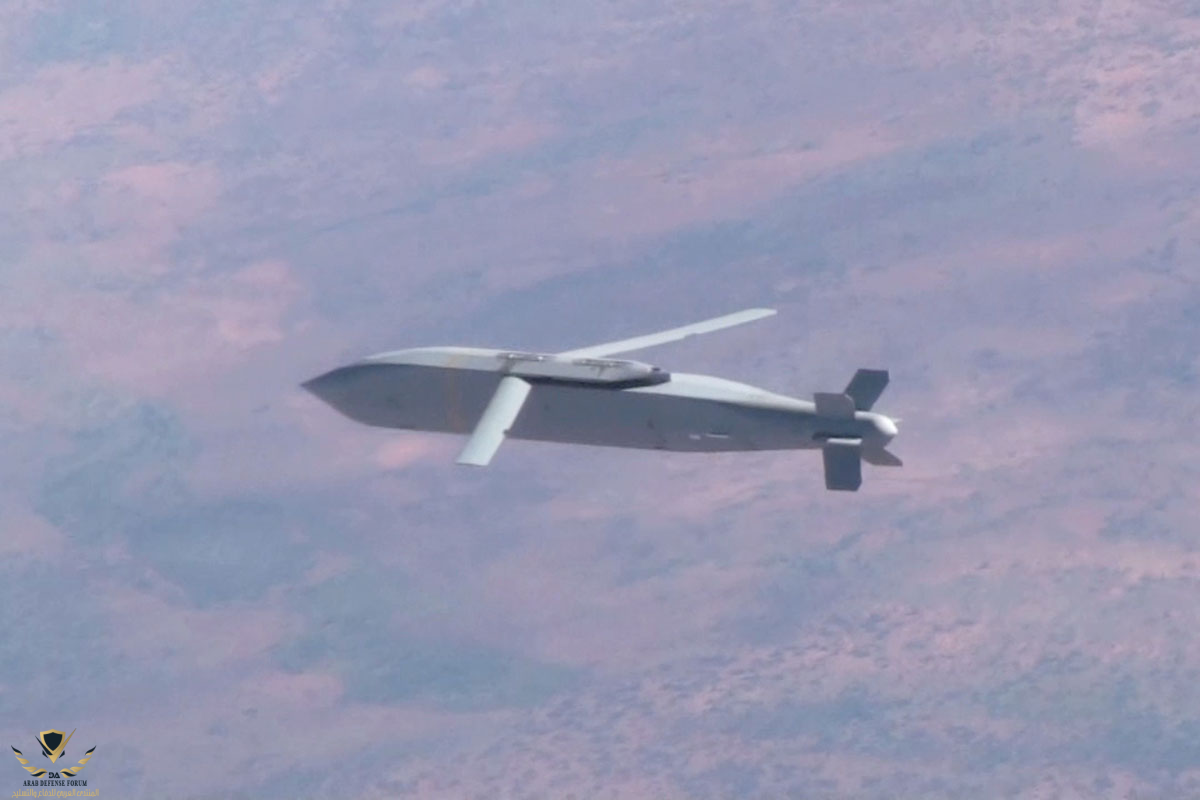 انتهاء تطوير انظمه GROM جو سطح | Arab Defense المنتدى العربي للدفاع ...